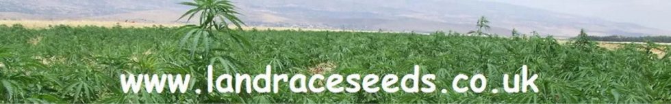 Heirloom seeds | Landrace Seeds